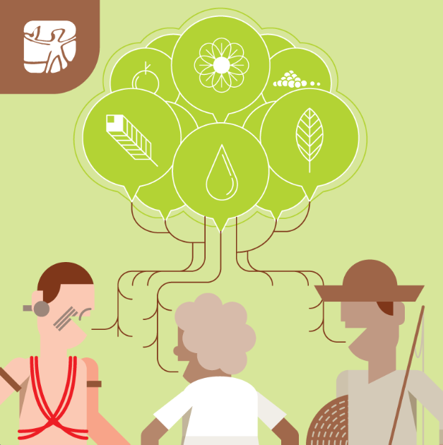Conhecimento tradicional associado ou dissociado da Biodiversidade? | ISA - Instituto Socioambiental